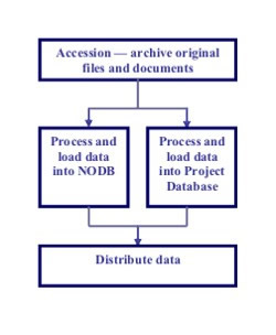 Data processing steps performed by BODC